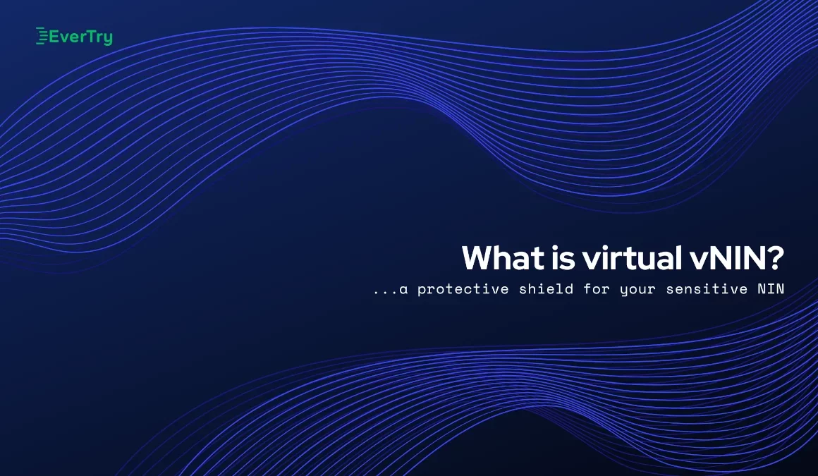 What is virtual NIN(vNIN)? - EverTry