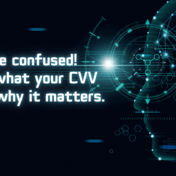 What is virtual NIN(vNIN)? - EverTry